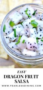 Dragon Fruit Salsa - Fearless Dining