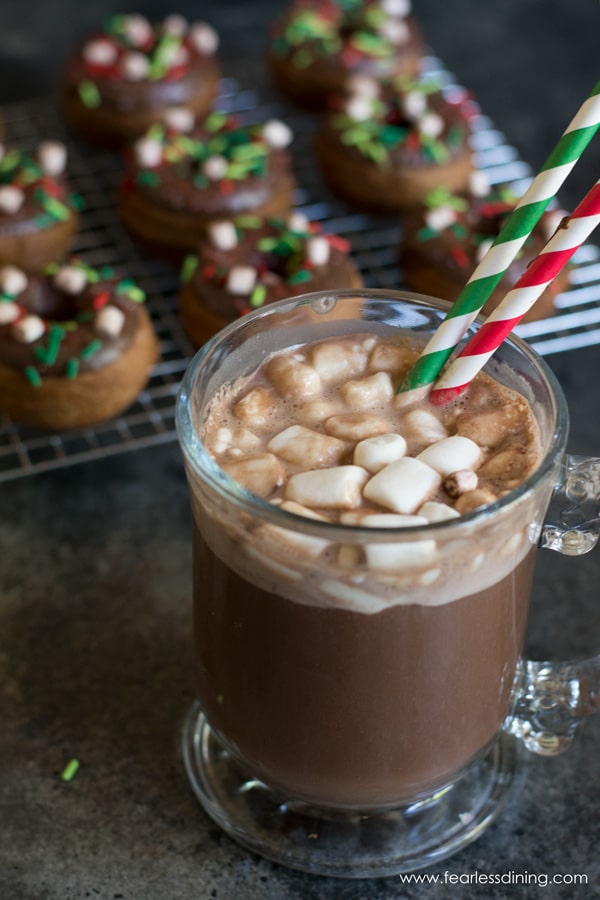 Easy Gluten Free Hot Chocolate Donuts - Fearless Dining