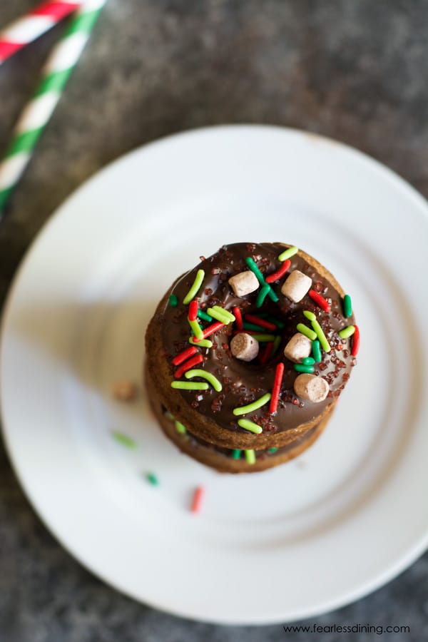 Easy Gluten Free Hot Chocolate Donuts - Fearless Dining