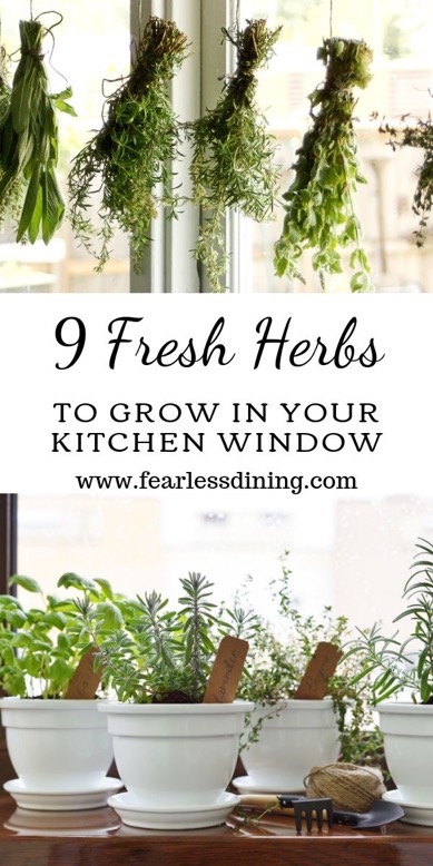 The Best Fresh Herbs to Grow Indoors In Your Kitchen Window - Fearless ...