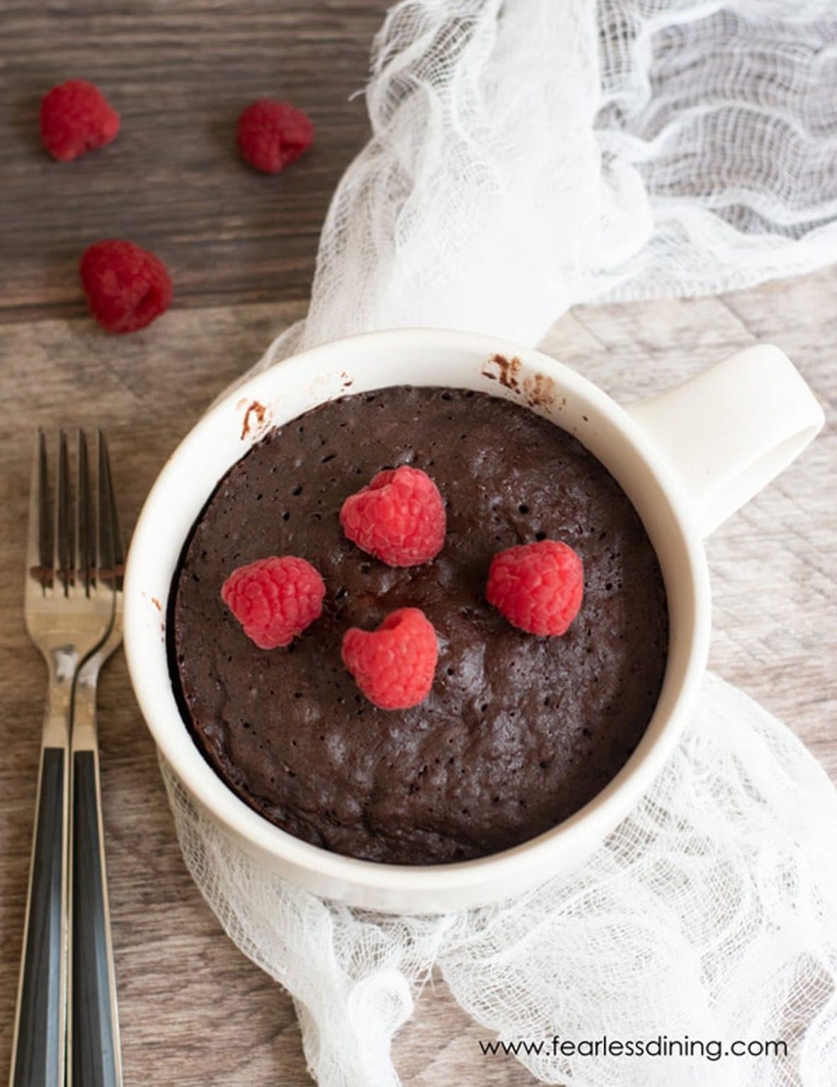 Gluten-Free Chocolate Mug Cake (Dairy-Free Too!) - Fearless Dining