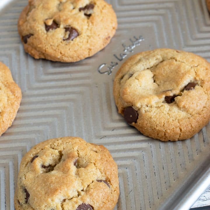 Must Make Gluten-Free Cookies with Chocolate Chips! - Fearless Dining