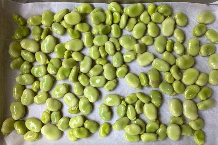 Easy Roasted Fava Beans Recipe - Fearless Dining