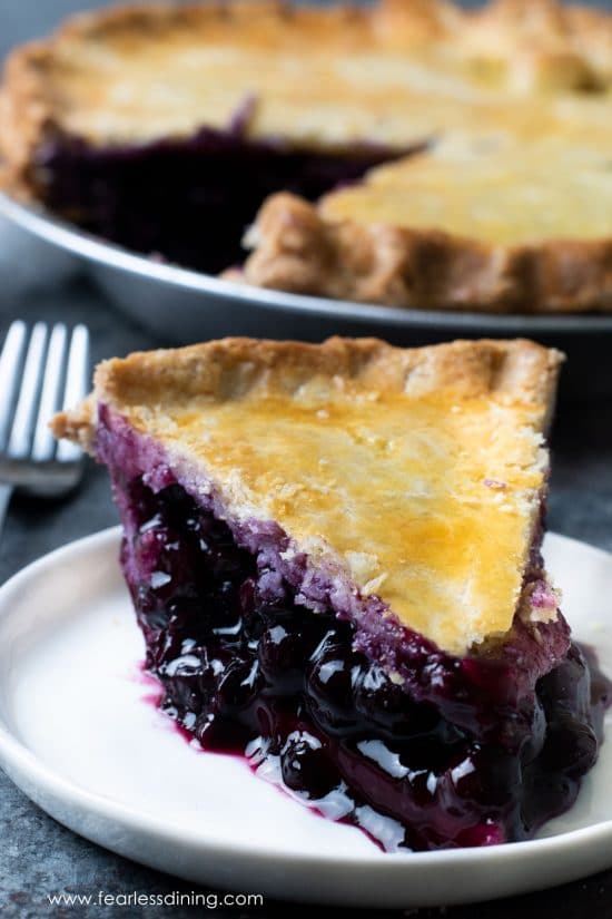 Mom's Best Gluten Free Blueberry Pie Recipe - Fearless Dining