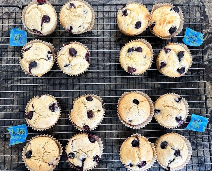 Testing Multiple Flour Blends: The Best Gluten Free Muffin Recipe ...