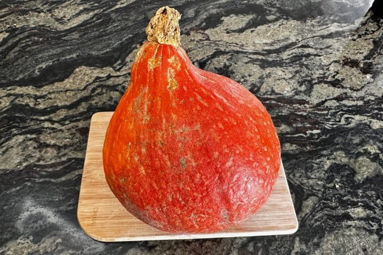 Easy Roasted Red Kuri Squash (Oven or Air Fryer!) - Fearless Dining